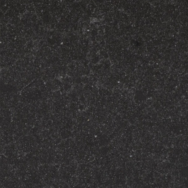 Belgian Blue - OHM International